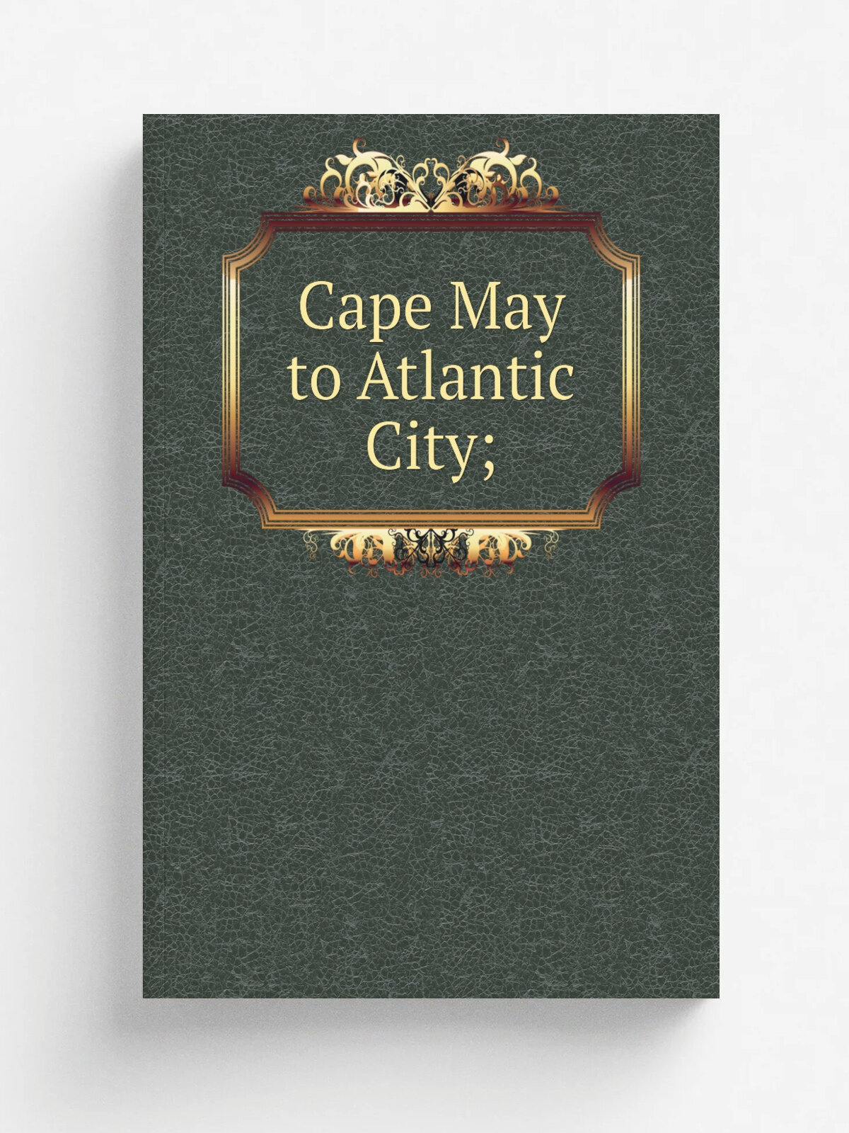 Cape May to Atlantic City; | Репринт
