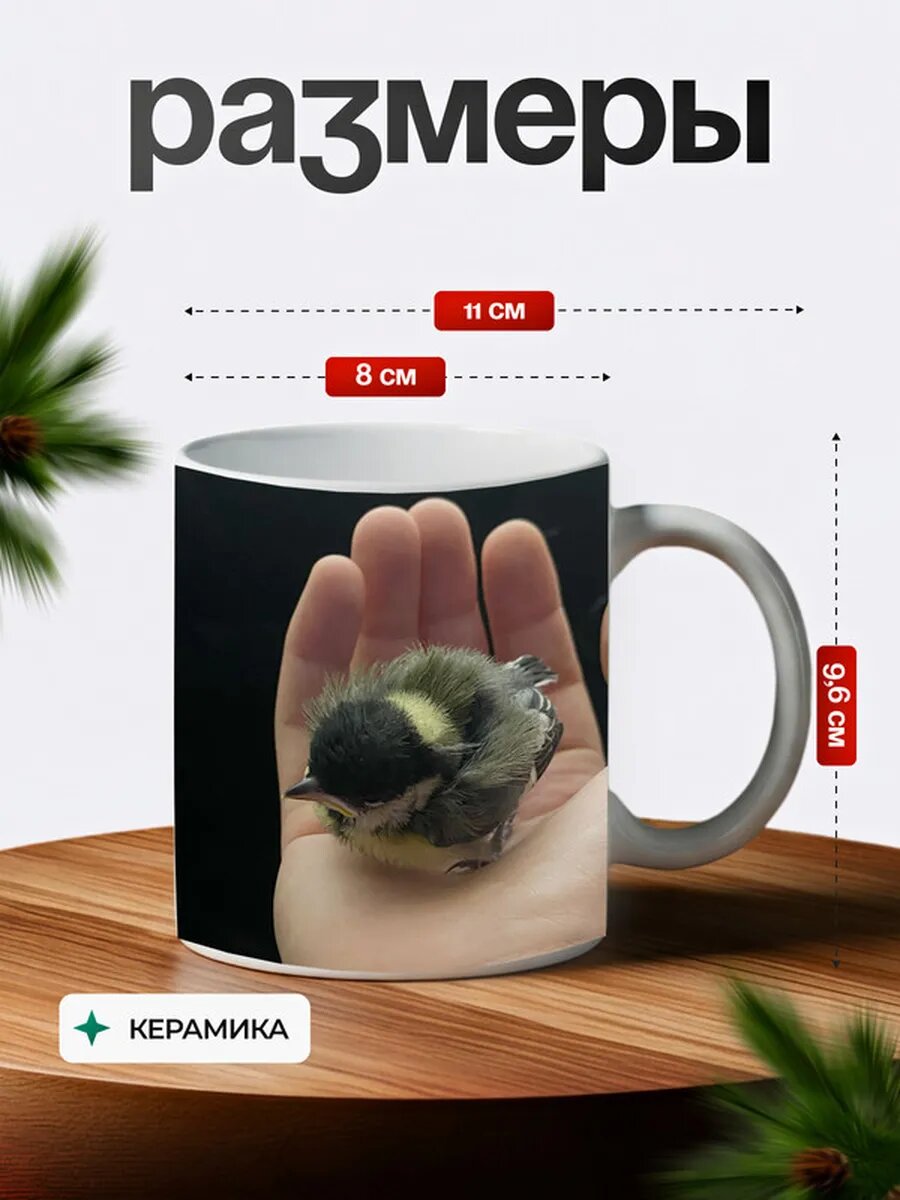Кружка Синица птица 13, — фото 1