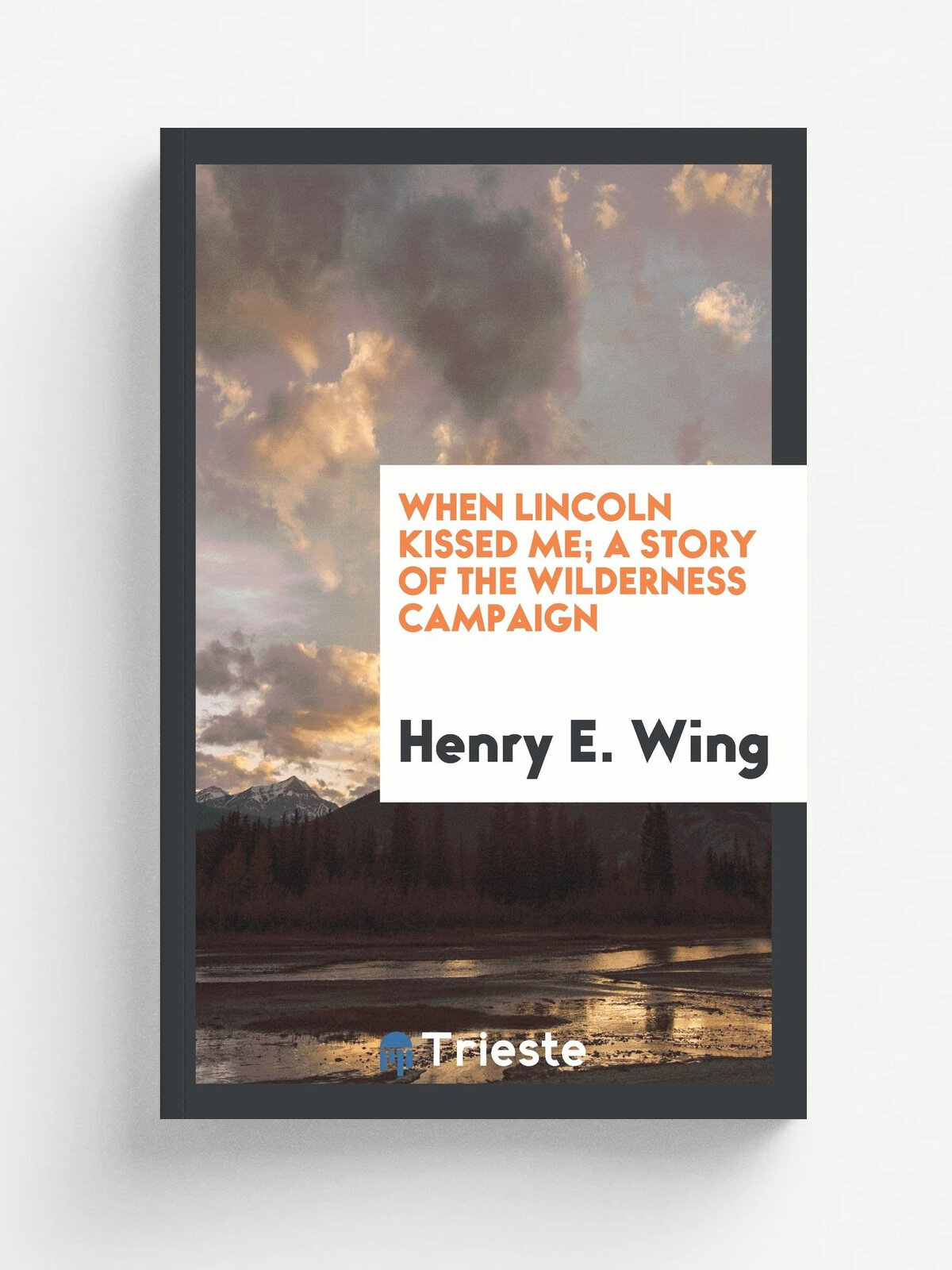 When Lincoln kissed me; a story of the Wilderness campaign