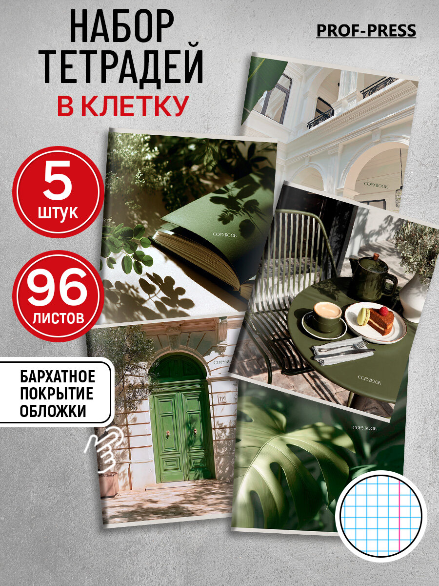 Тетрадь в клетку 96 листов Prof-Press набор 5 штук
