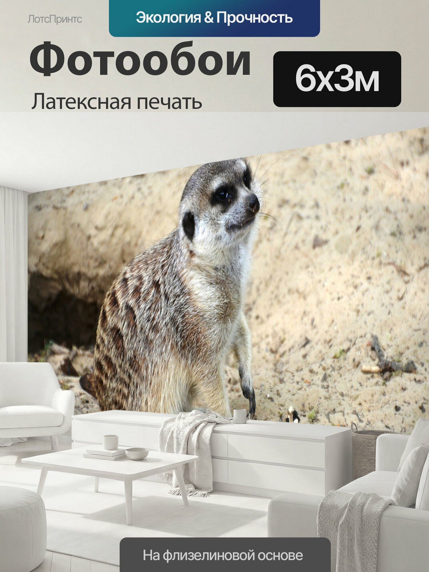 Фотообои моющиеся ударопрочные "Сурикат, suricata suricatta, сурик" 600x300 см. латексная печать