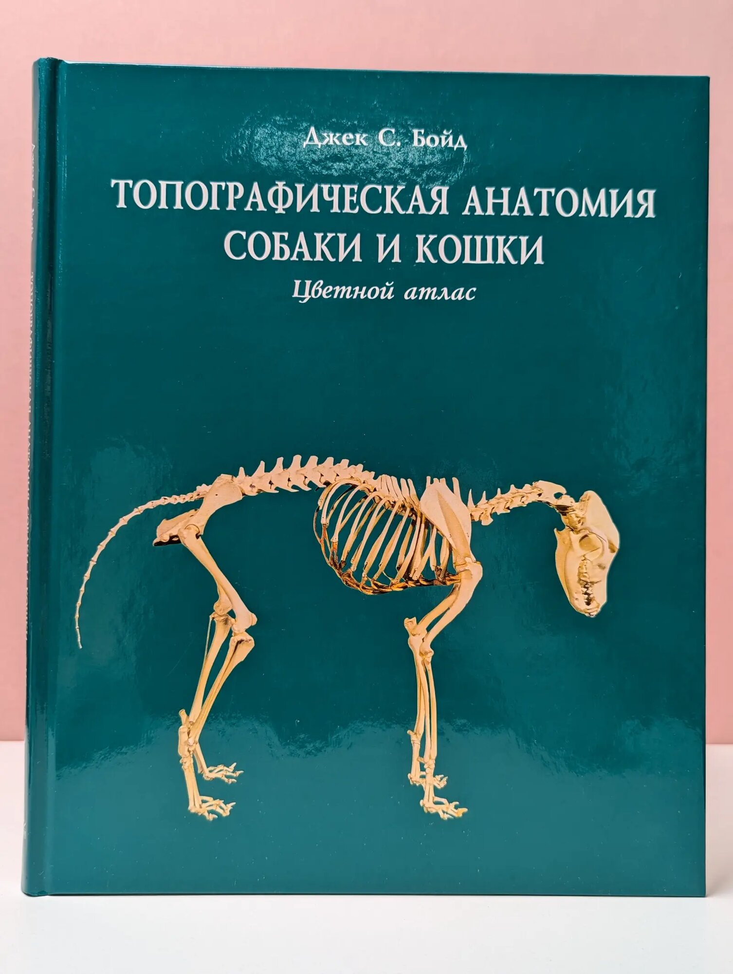 Топографическая анатомия собаки и кошки Бойд Джек С. 1998