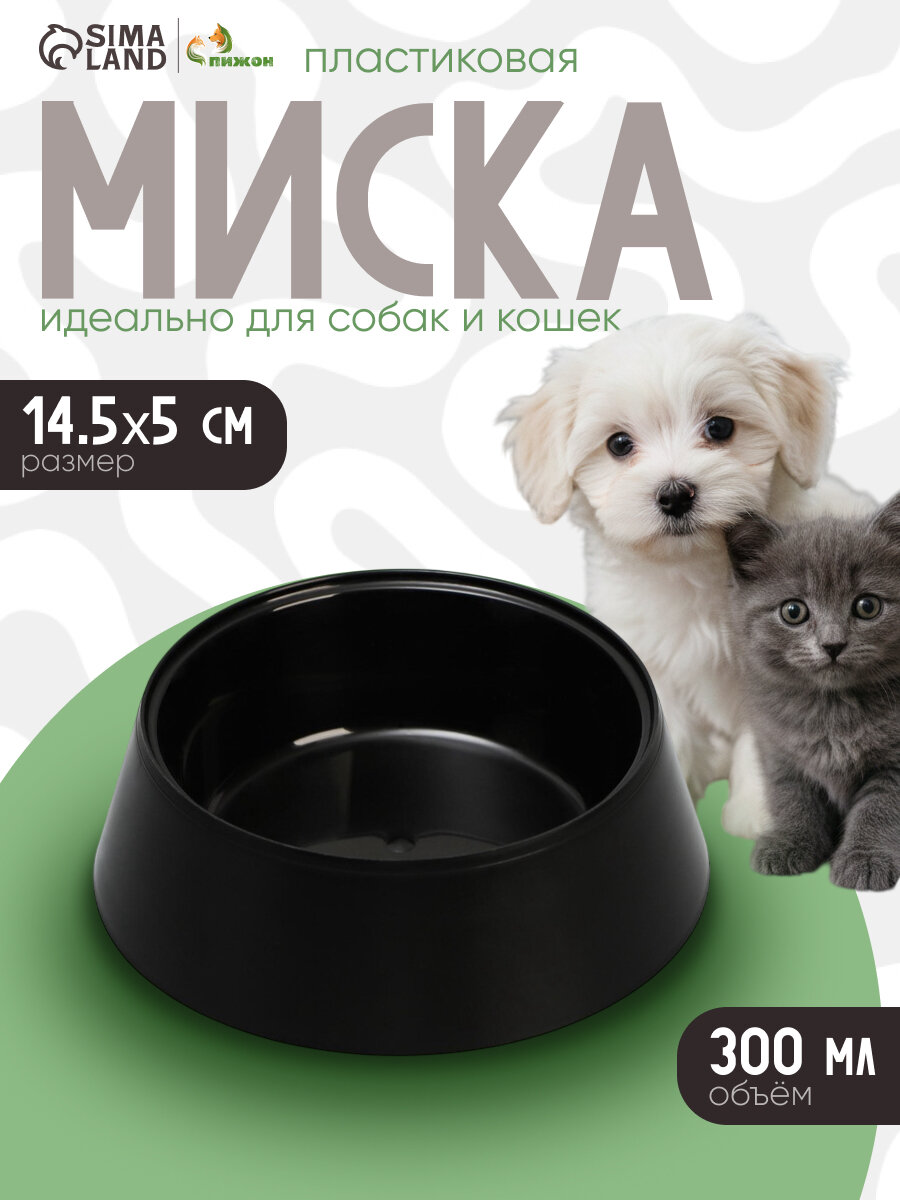 Миска Пижон, для животных, 300 мл, черный, глянцевая, устойчивая