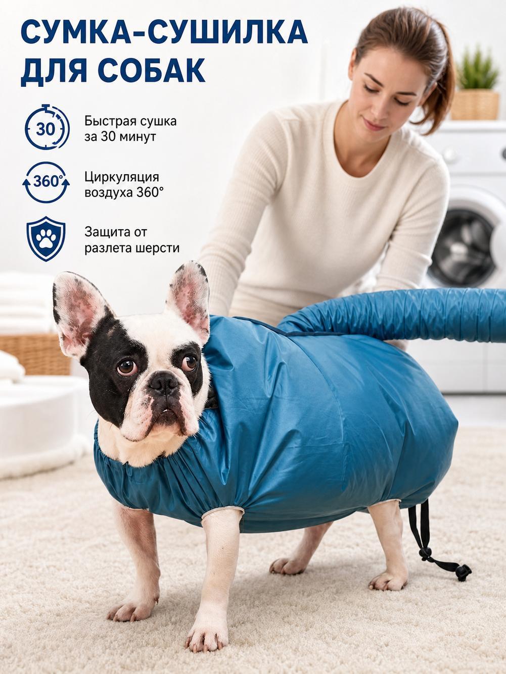 Сушилка для кошек и собак, фен для животных, компрессор, M размер