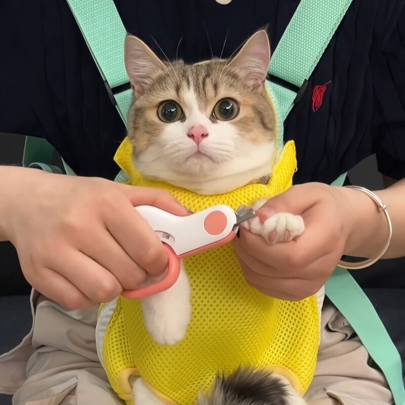 Регулируемая шлейка-рюкзак для собак и кошек с застежкой-защелкой и дышащими сетчатыми вставками, размер M