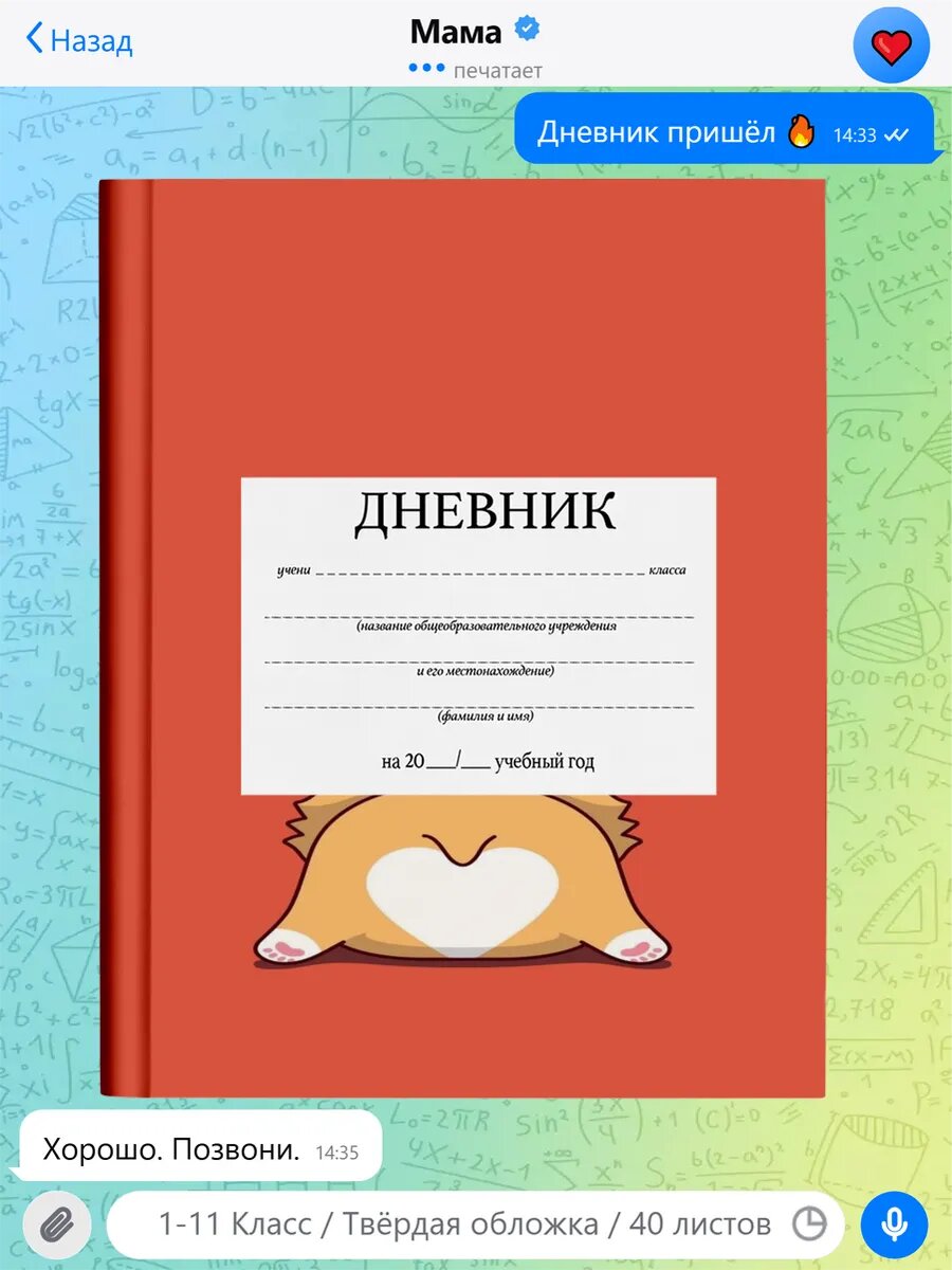 Школьный дневник с принтом Роблокс