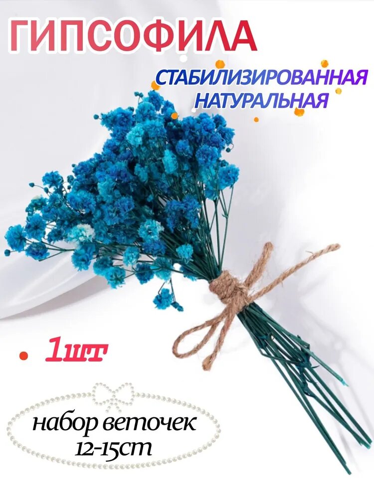 Сухоцветы 15 г 1 шт синий