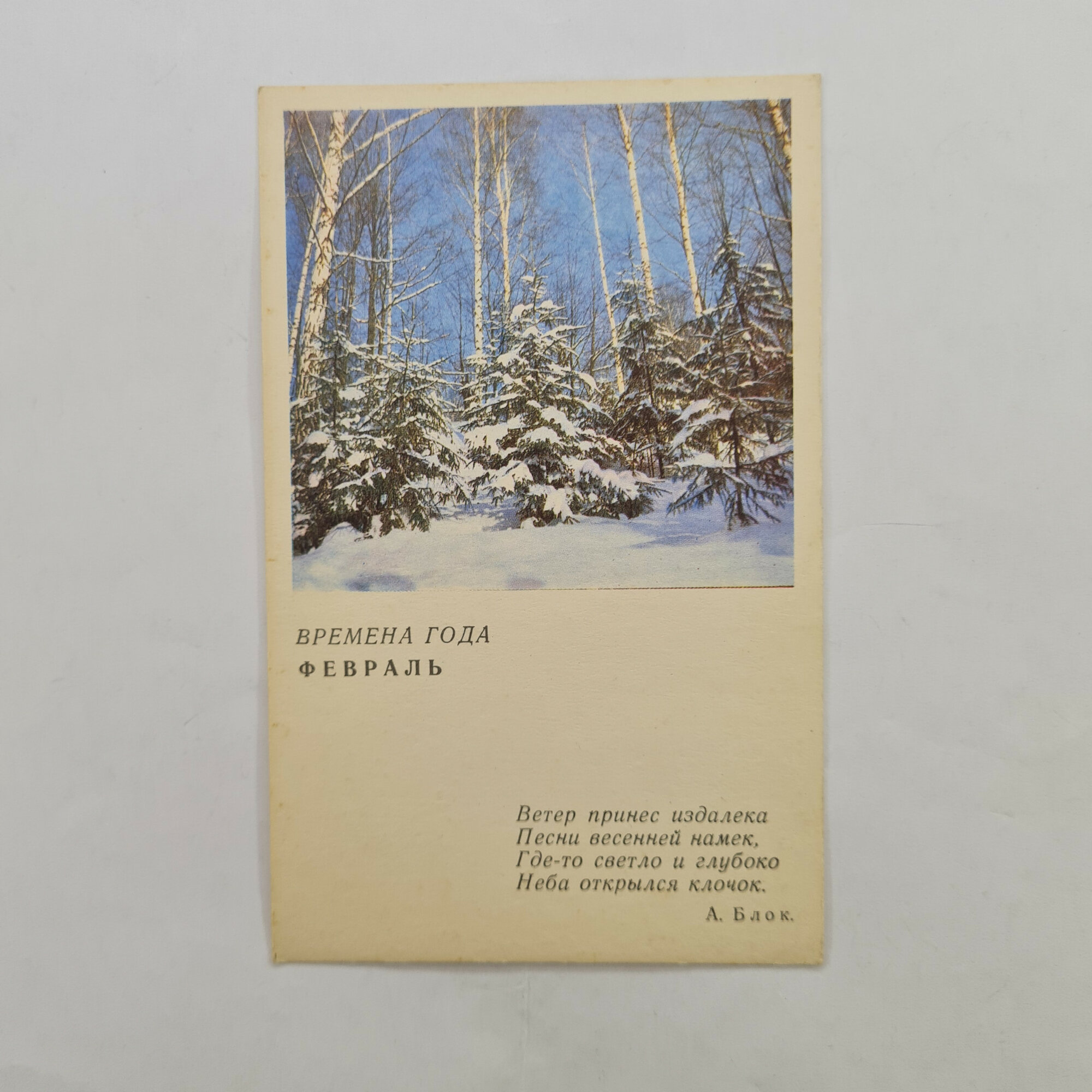 Открытка советская СССР. Времена года, февраль, зимний лес, березы и ели в снегу, винтаж
