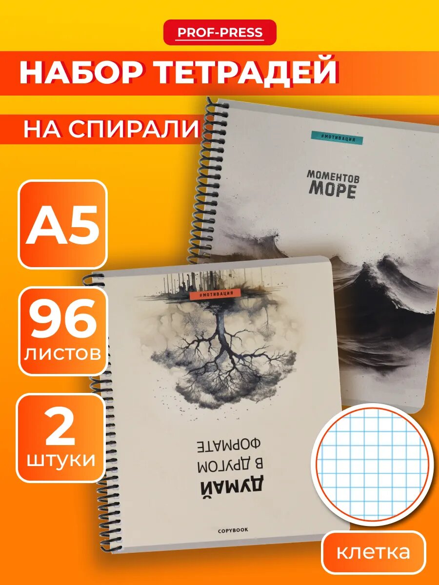 Тетради в клетку 96 листов на пружине 2 штуки Prof-Press 261672879