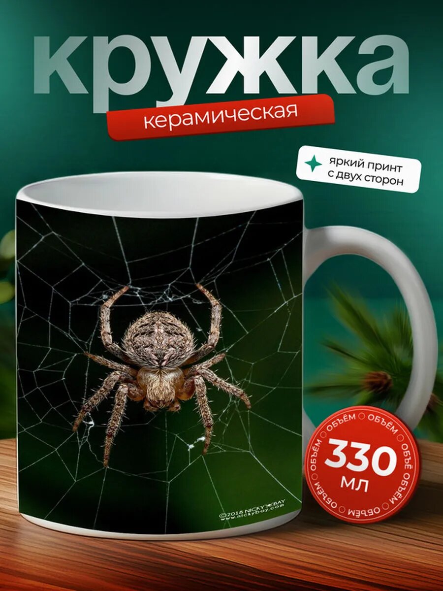 Кружка Амирок паук паукообразное 3,