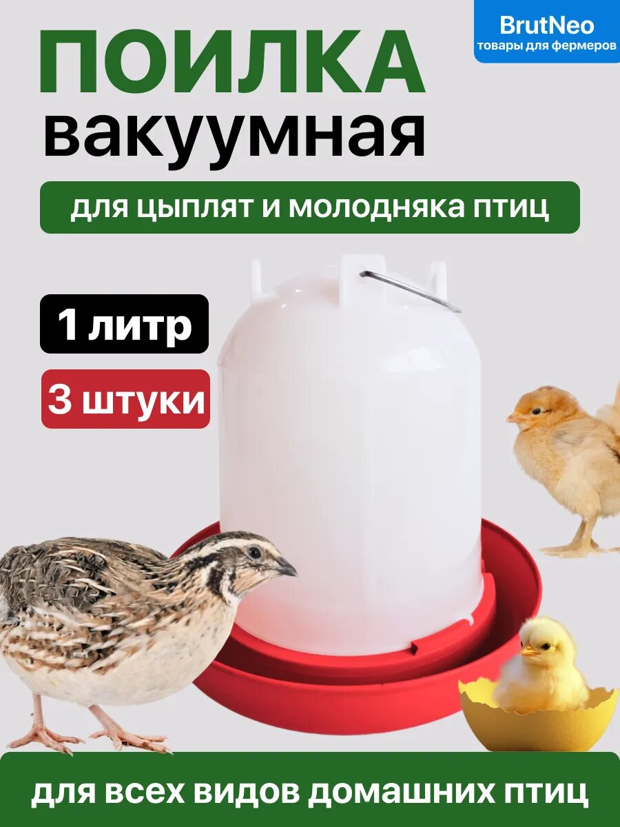 Поилка для цыплят, утят, гусят, перепелят вакуумная 1 л