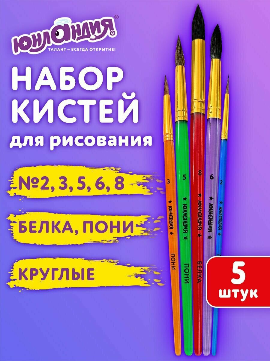 Кисти для рисования в школу набор 5 штук, кисточки круглые № 2 3 5 6 8, пони, белка, Юнландия школьные кисти набор круглых кисточек