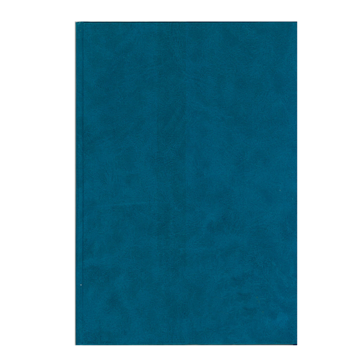 Книга учета 96 л, клетка, твердая, бумвинил, блок офсет, А4 (200х290 мм)