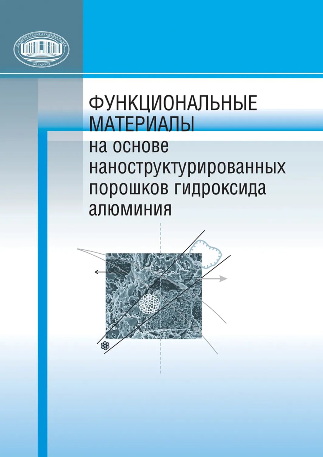 Функциональные материалы на основе наноструктурированных порошков гидроксида алюминия [Цифровая книга]