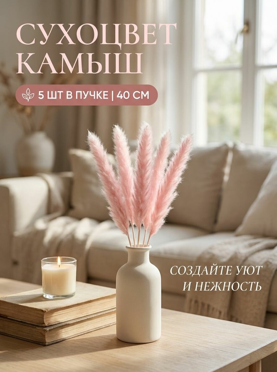 Сухоцвет "Камыш", 5 шт в пучке, светло-розовый, натуральный сухоцвет, для создания цветочных композиций и декора