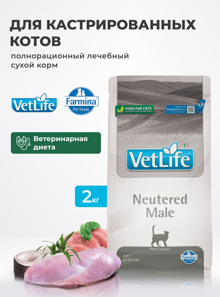 Cухой корм для кастрированных котов Farmina Vet Life Neutered Male, Фармина Вет Лайф Курица, 2 кг