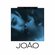 Bebel Gilberto - Joao