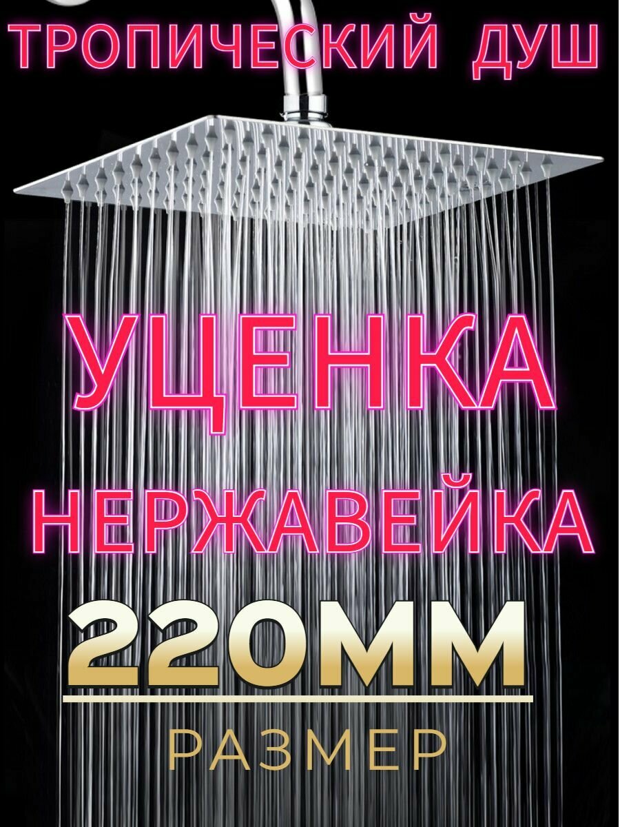 Лейка для тропического душа Tropicheskiy №22 1СОРТ