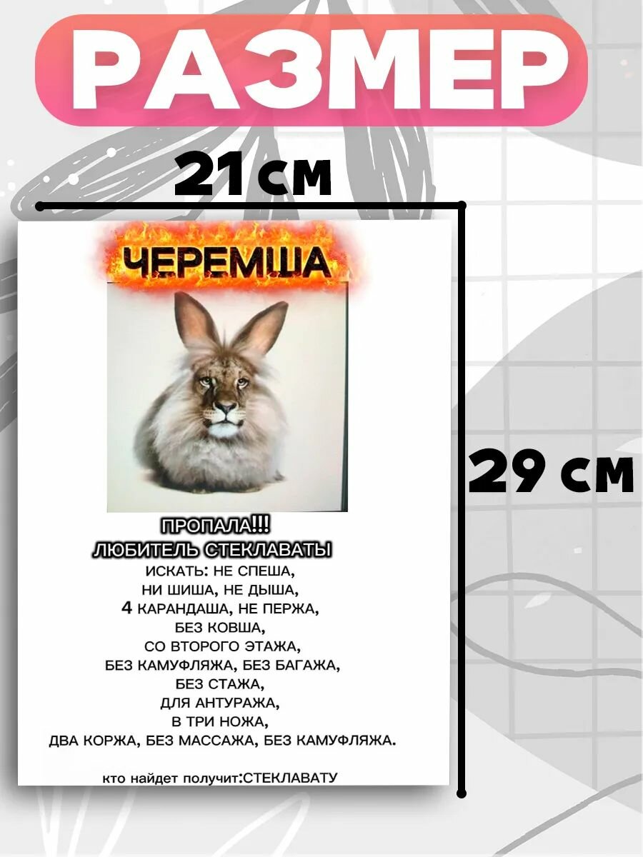 Постеры на стену Черемша мем , плакат 1шт, А4 размер. — фото 1
