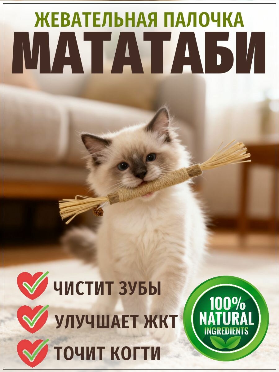 Палочка мататаби с джутовой верёвкой и натуральным плодом - жевательная антистресс-игрушка для кошек и котят, уход за зубами и дёснами, чистка зубов и спокойствие питомца