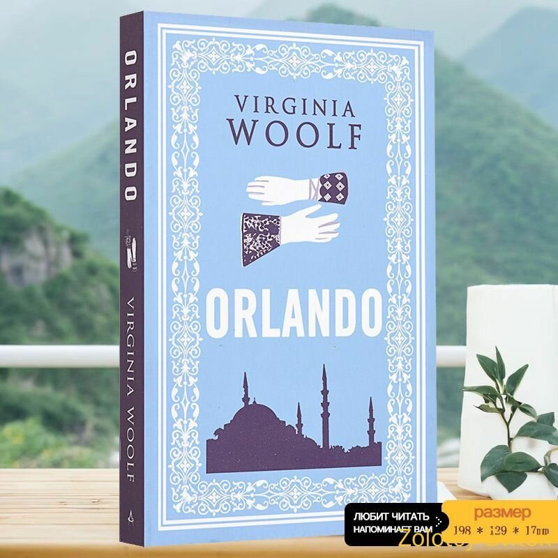 Книга Virginia Woolf "Орландо", графический роман, английский язык