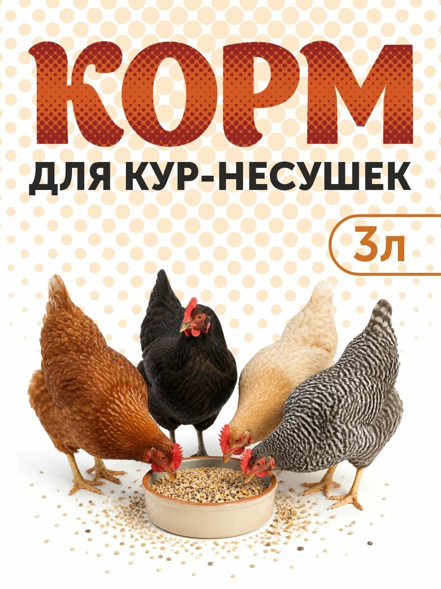 ( 3 литра) Корм для кур несушек