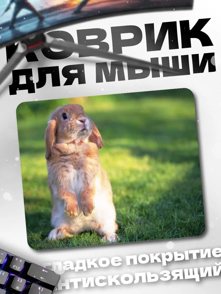 Коврик для мыши пушистый кролик