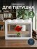 Аквариум для петушка
