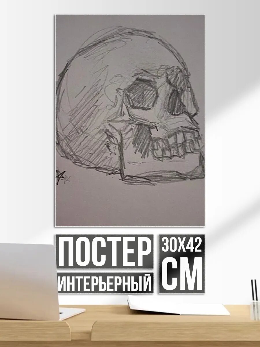Плакат постер Набросок человеческого черепа