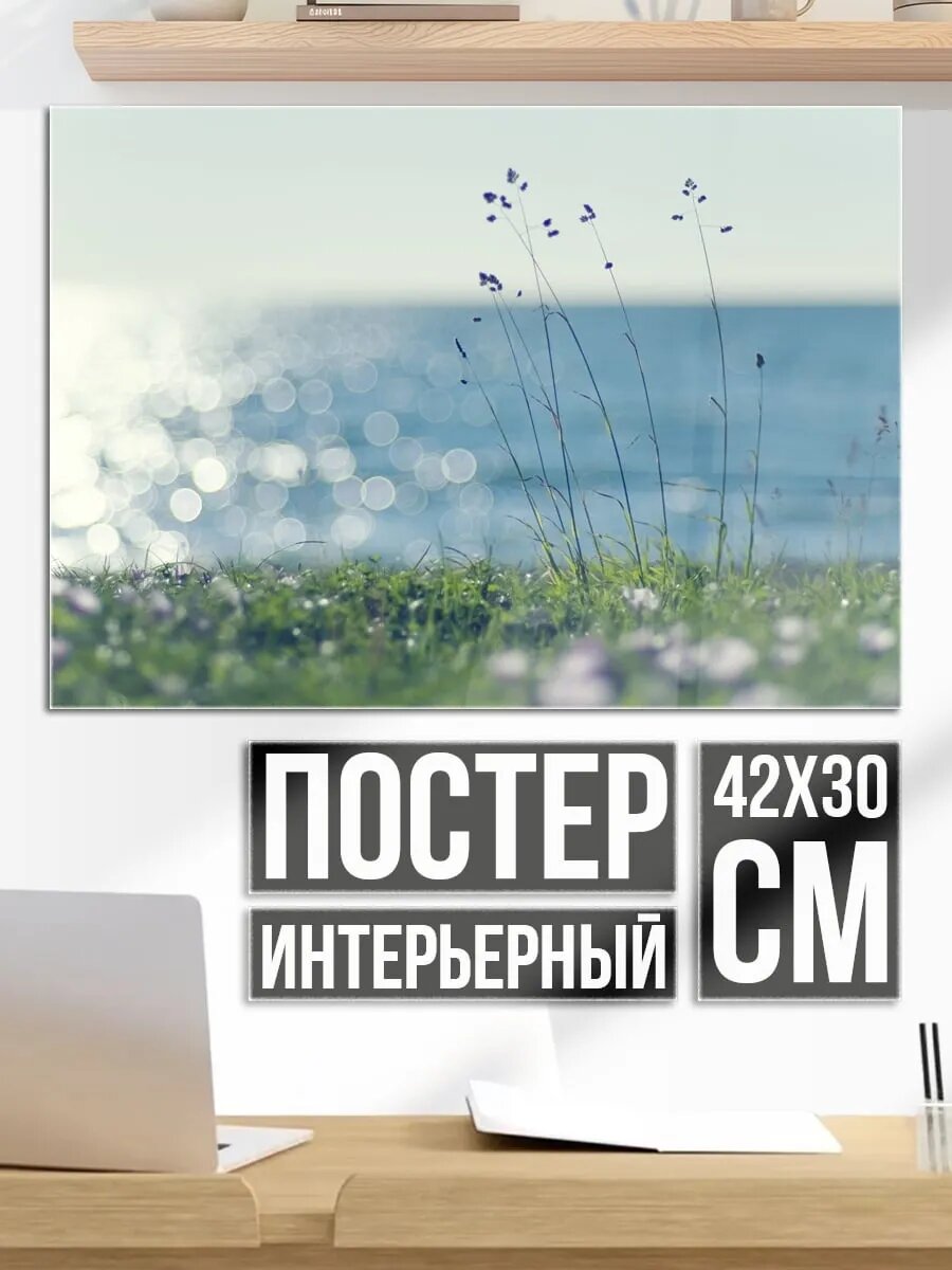 Плакат постер Летний луг море