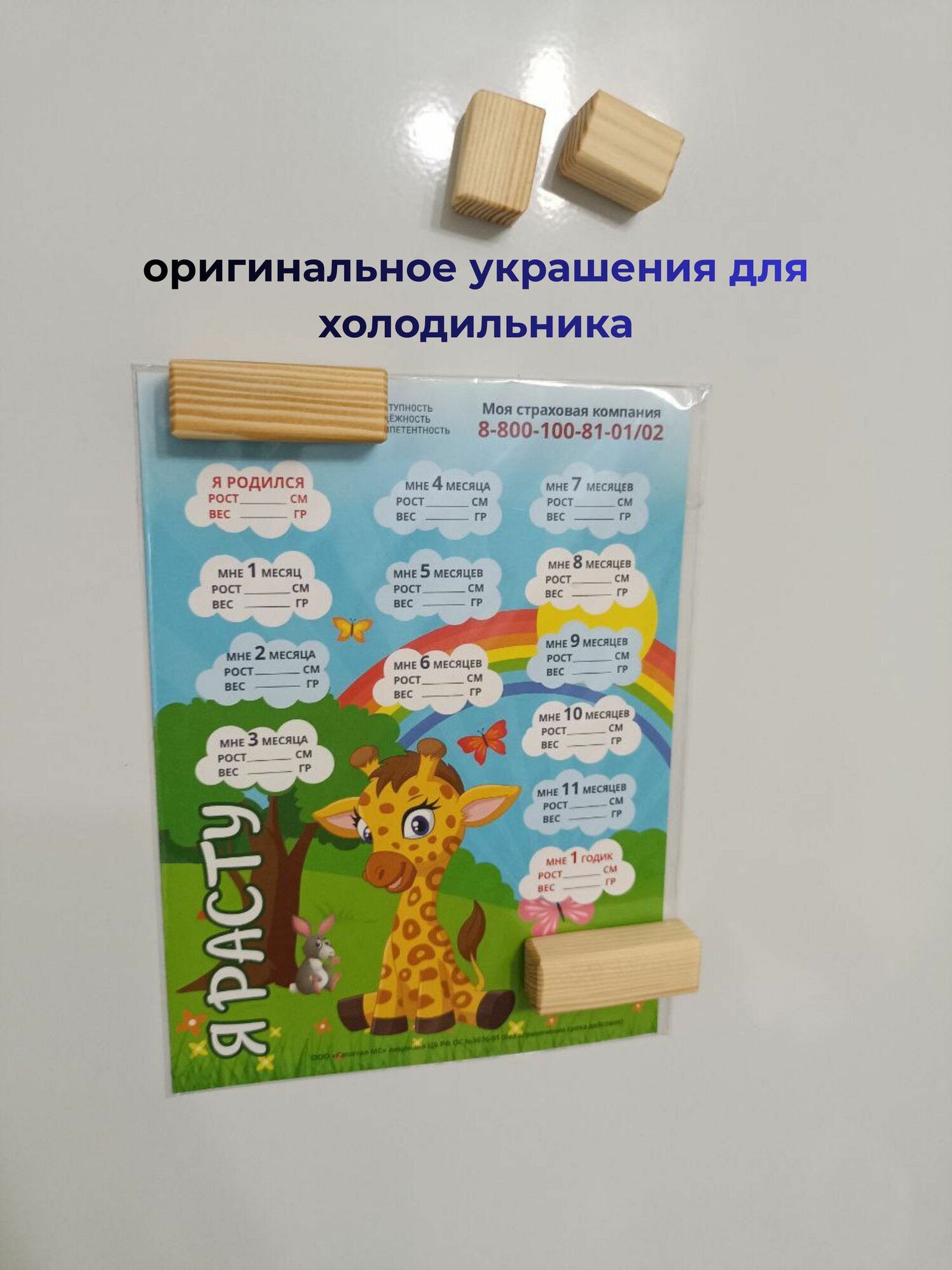 Магнит на холодильник — фото 1