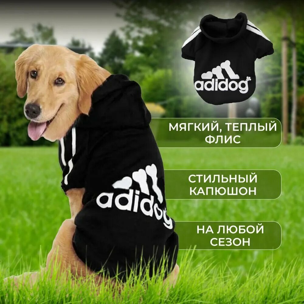 Одежда для животных — фото 1