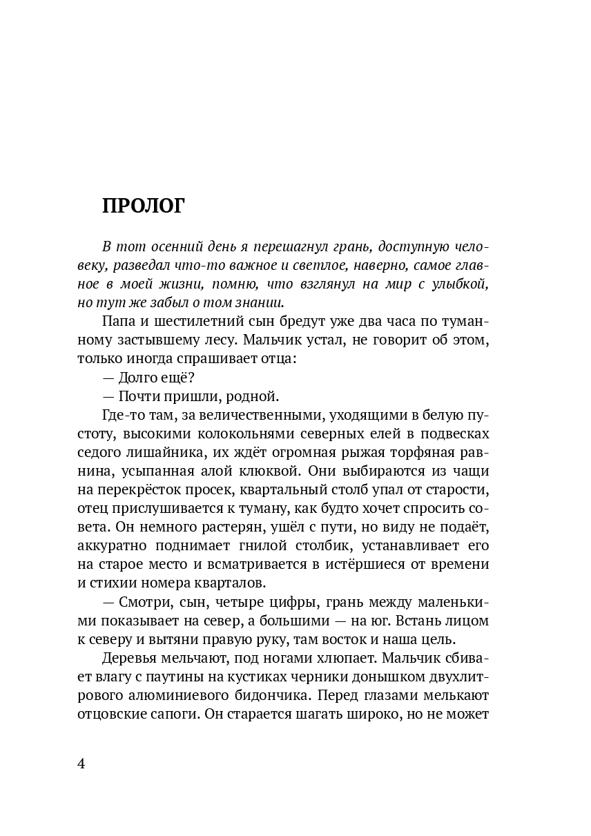 Ягодные земли — фото 1