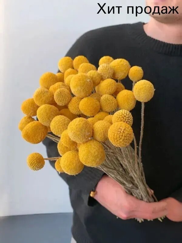 Сухоцветы, 80 гр, 20 шт