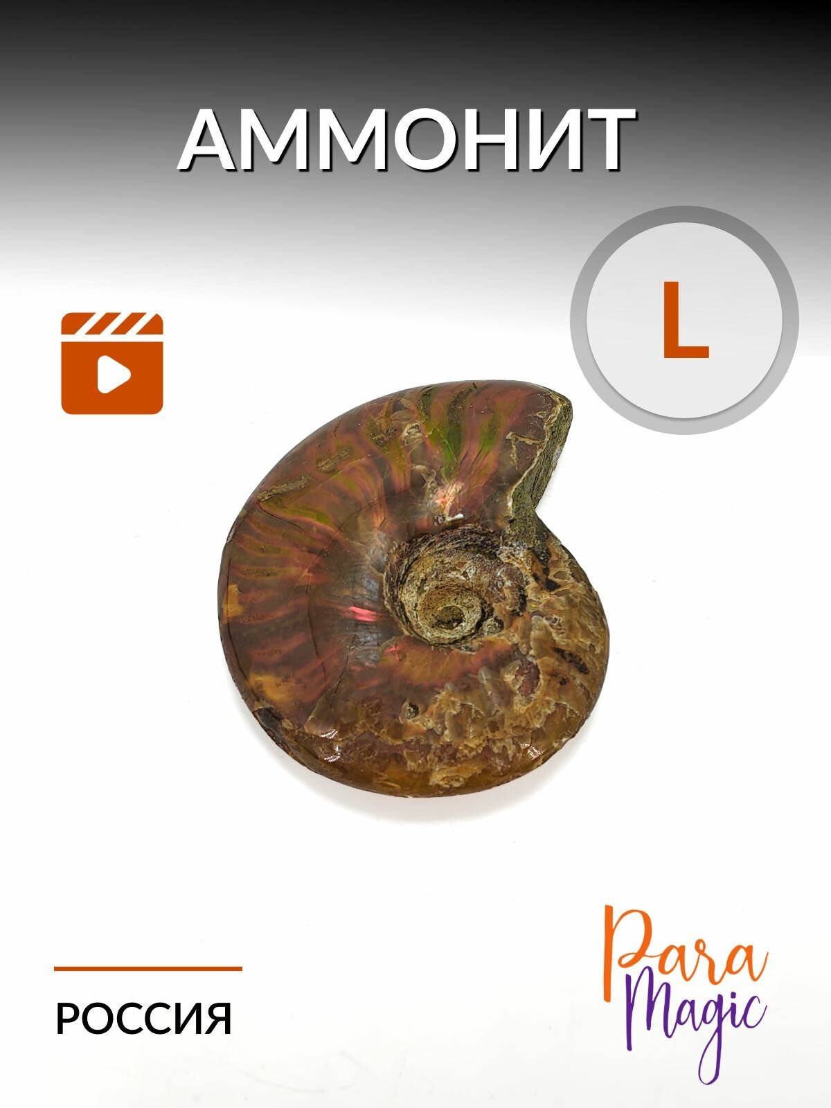 Аммонит натуральный камень, оберег, 3,5-5 см