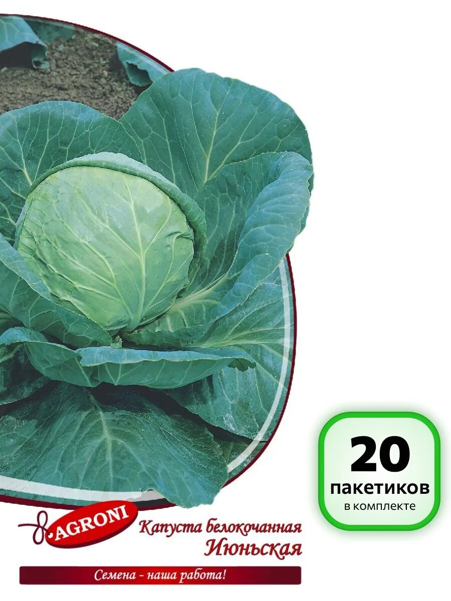 (20 шт.) - Семена Капуста б/к Июньская (0,5г)