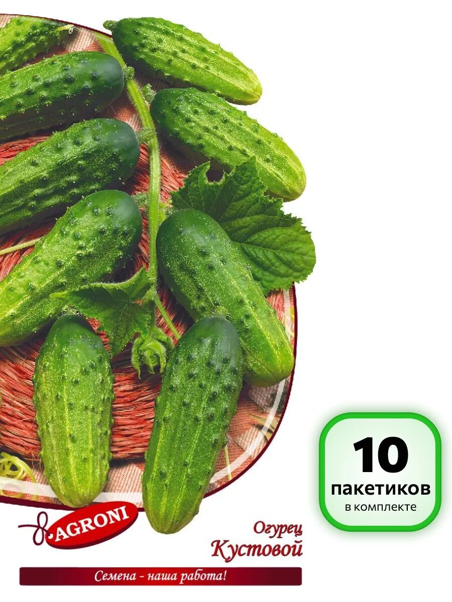 (10 шт.) - Семена Огурец Кустовой (0,5г)