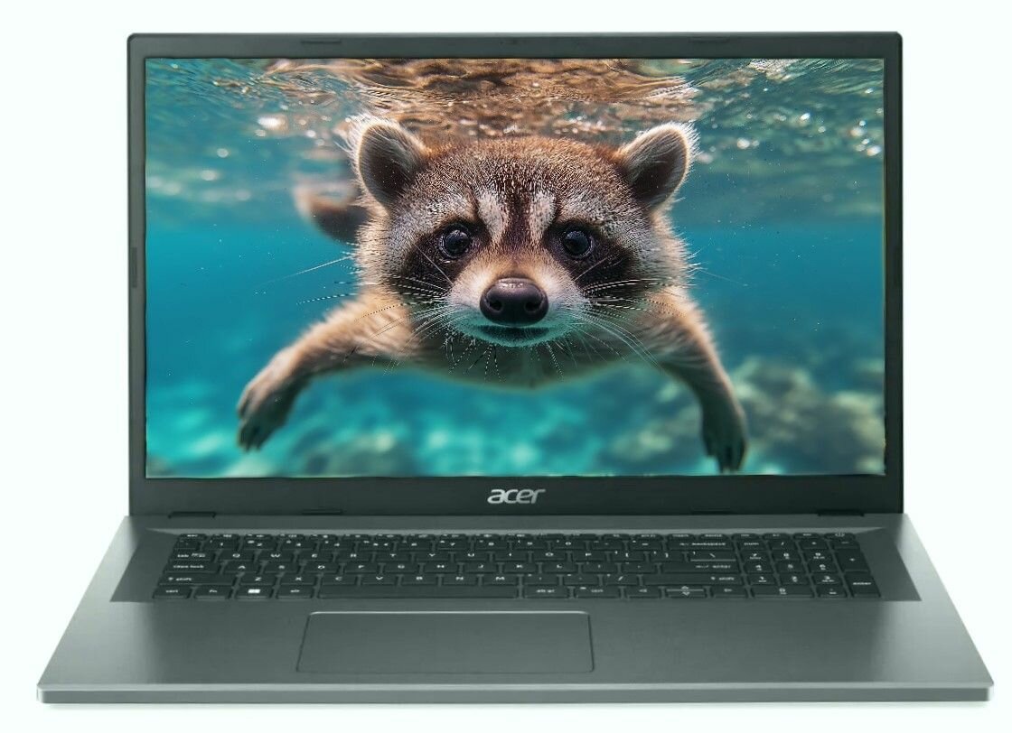 Ноутбук Acer Intel N-Series 2,8ГГц 4 ядер. 17' 1920x1080 Intel UHD Graphics Xe 24EUs Windows 11 Pro Русская раскладка