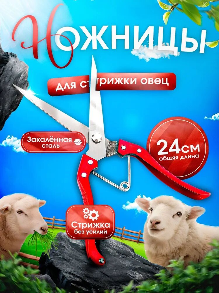Ножницы для стрижки овец, баранов и домашних животных