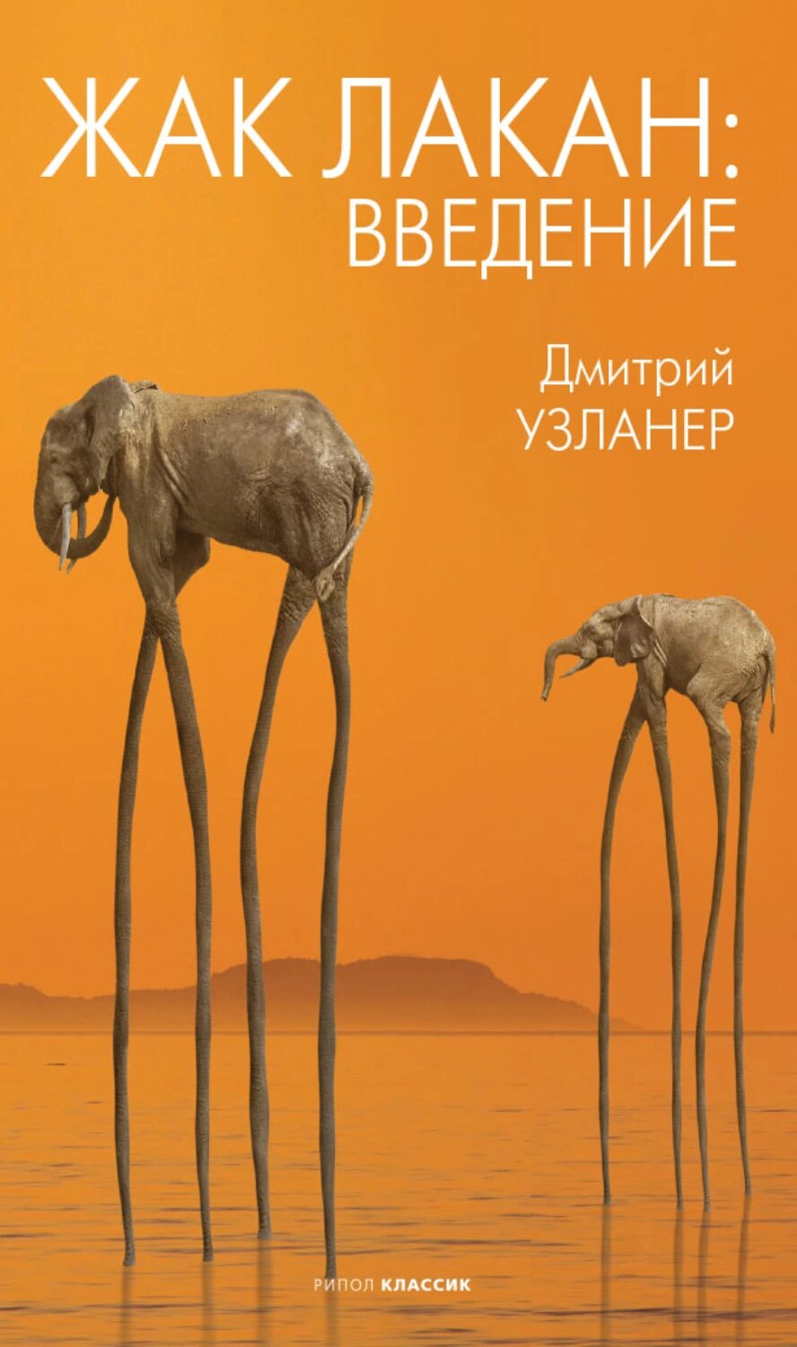 Жак Лакан: введение [Цифровая книга]