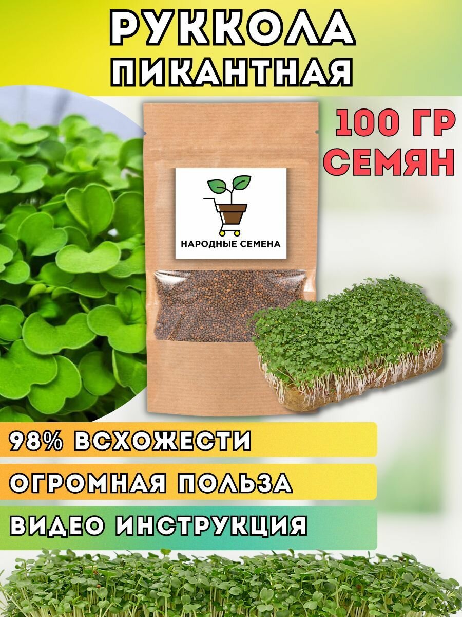 Семена Руккола 100 гр. семена для выращивания микрозелени микрозелень руккола 100г семена микрозелени