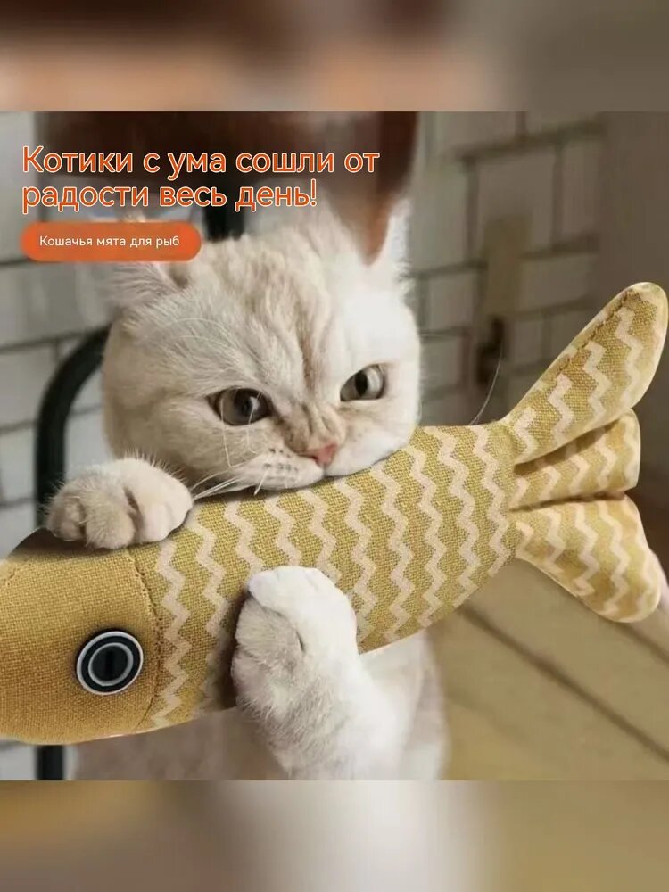 Кис-кис-кис.