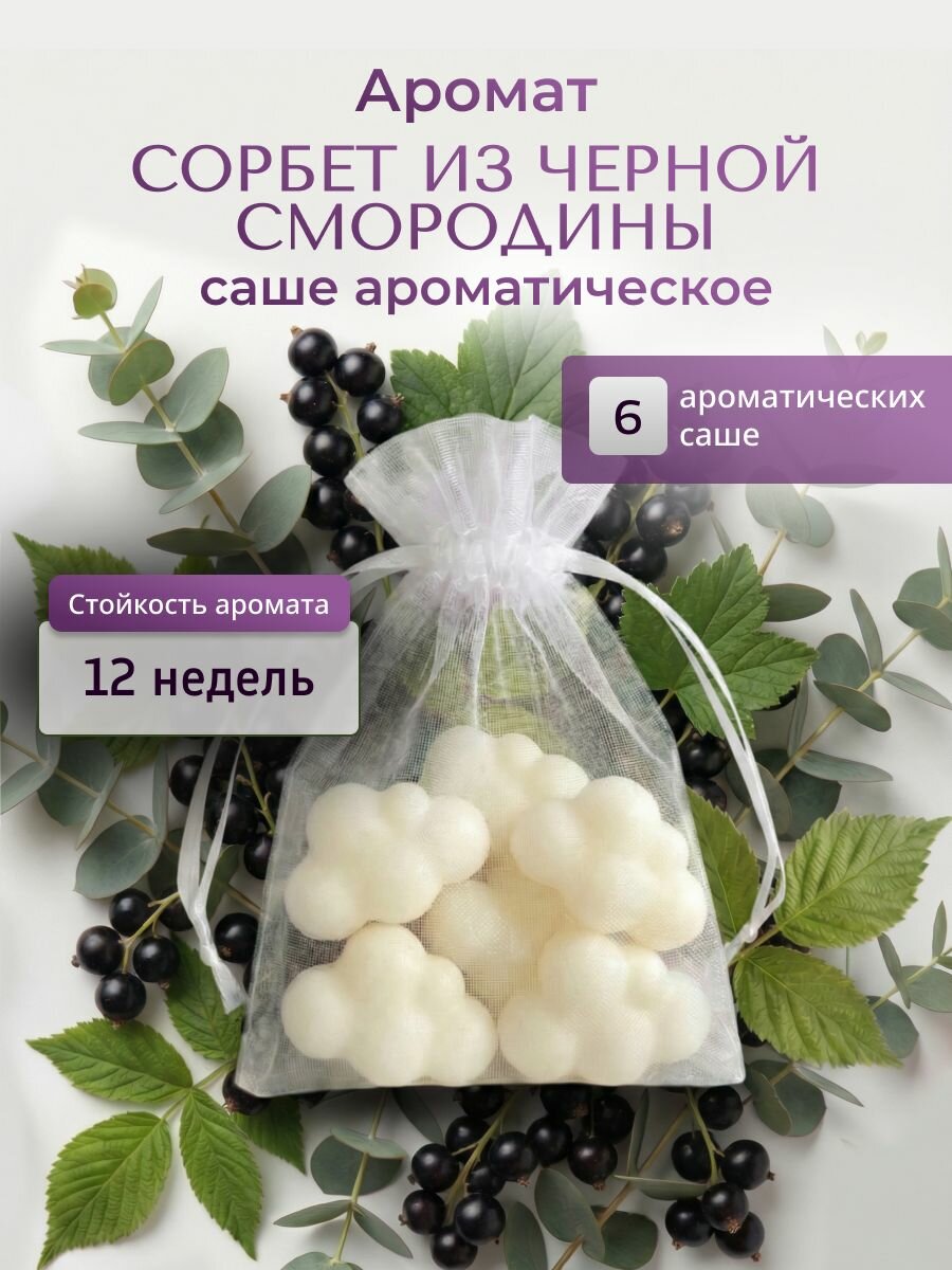 Саше для шкафа LEVEND "Сорбет из черной смородины" 6 шт