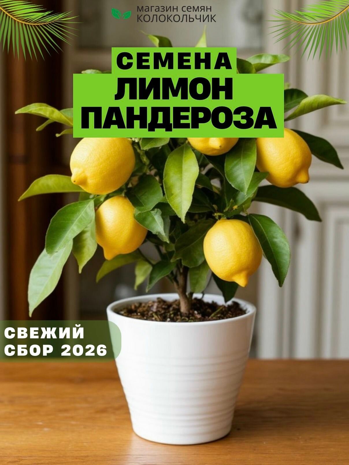 Лимон комнатный Пандероза, Семена семена лимона комнатный лимон пандероза