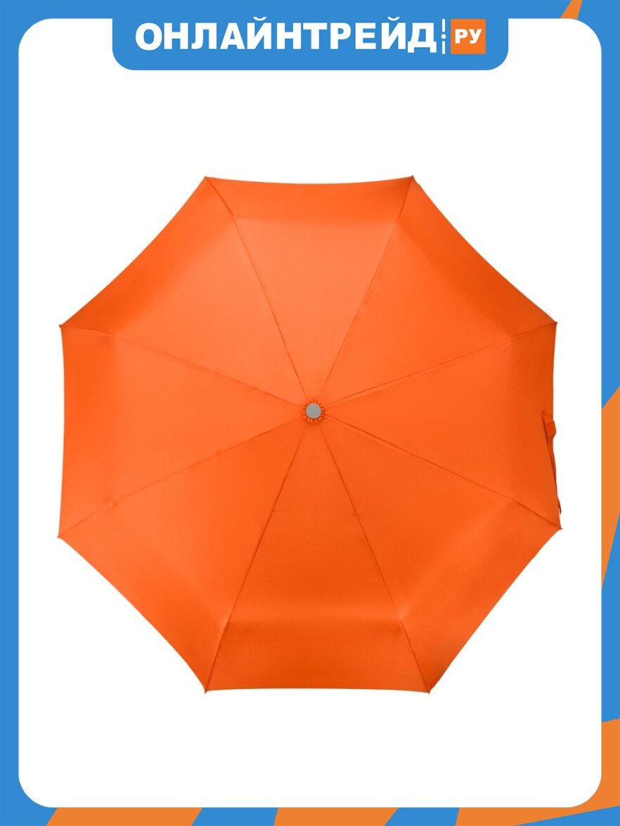 Зонты