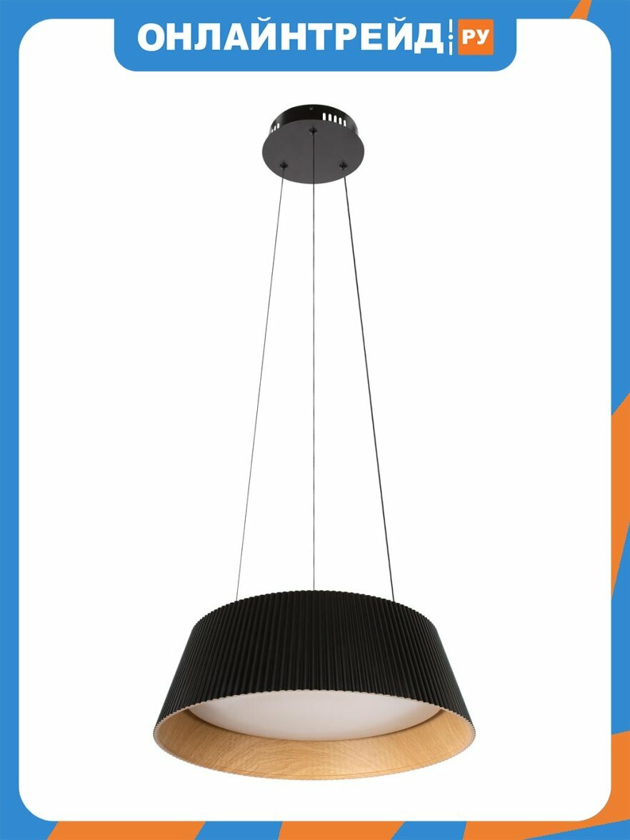 Подвесной светильник Loft IT Evans 10224P Black
