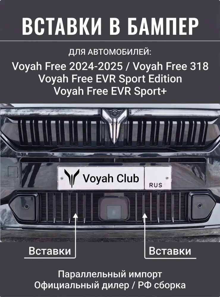 Вставки в бампер / Защита радиатора Voyah Free 2024 / Free 318