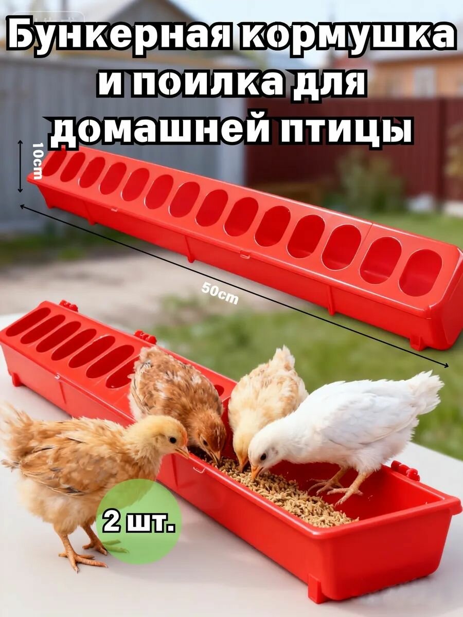 50 см / Кормушка бункерная лотковая для кур, птиц, перепелов, цыплят, бройлеров / кормушка, поилка для домашней п