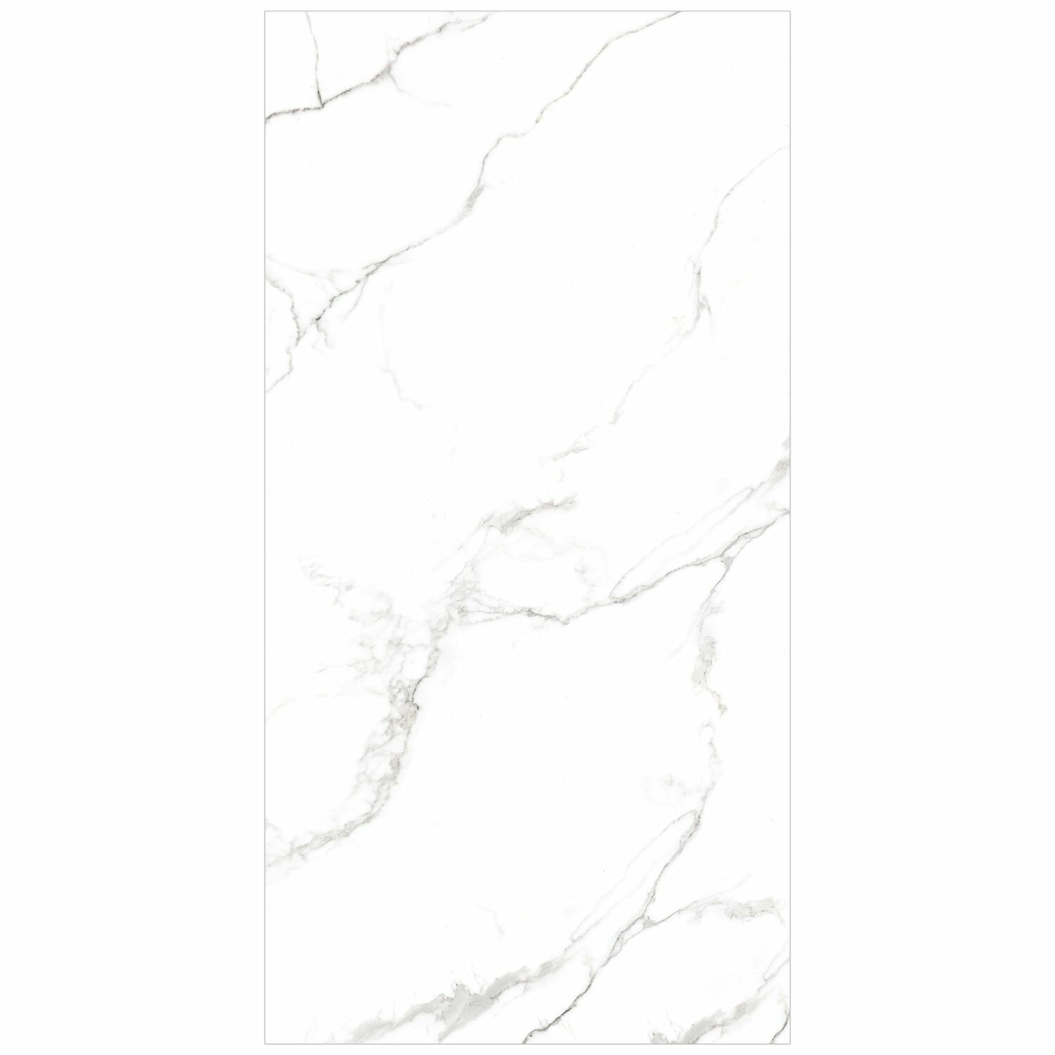 Керамогранит ARCADIA CERAMICA Statuario Tune белый полированный 60x120 см 1,44 м2
