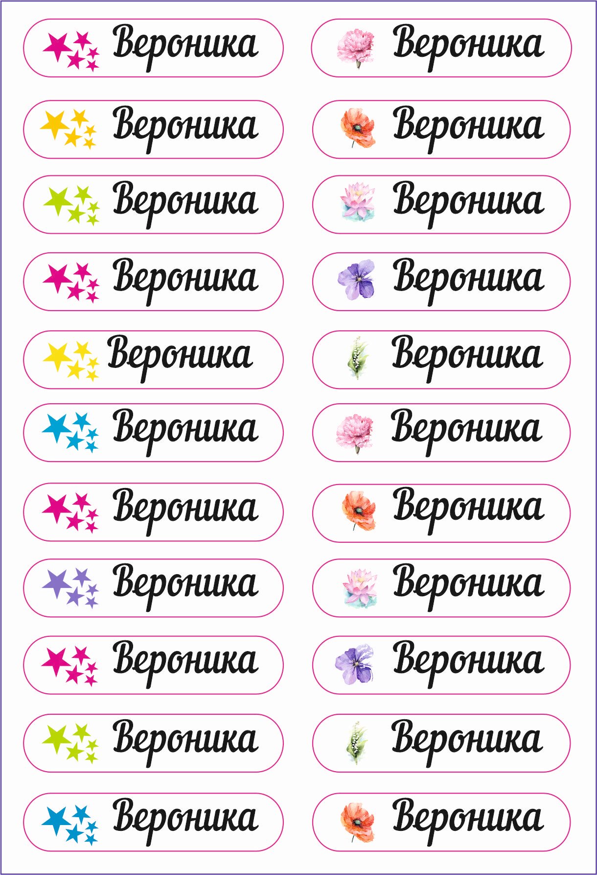 Наклейки 66 шт на тетради и ручки именные Вероника